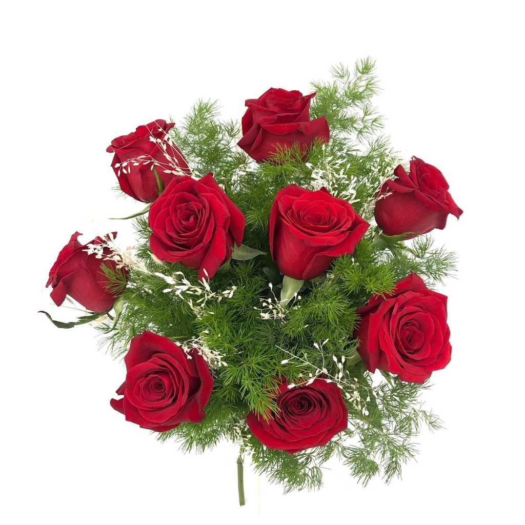 9 rosas rojas – Flores a Domicilio Madrid